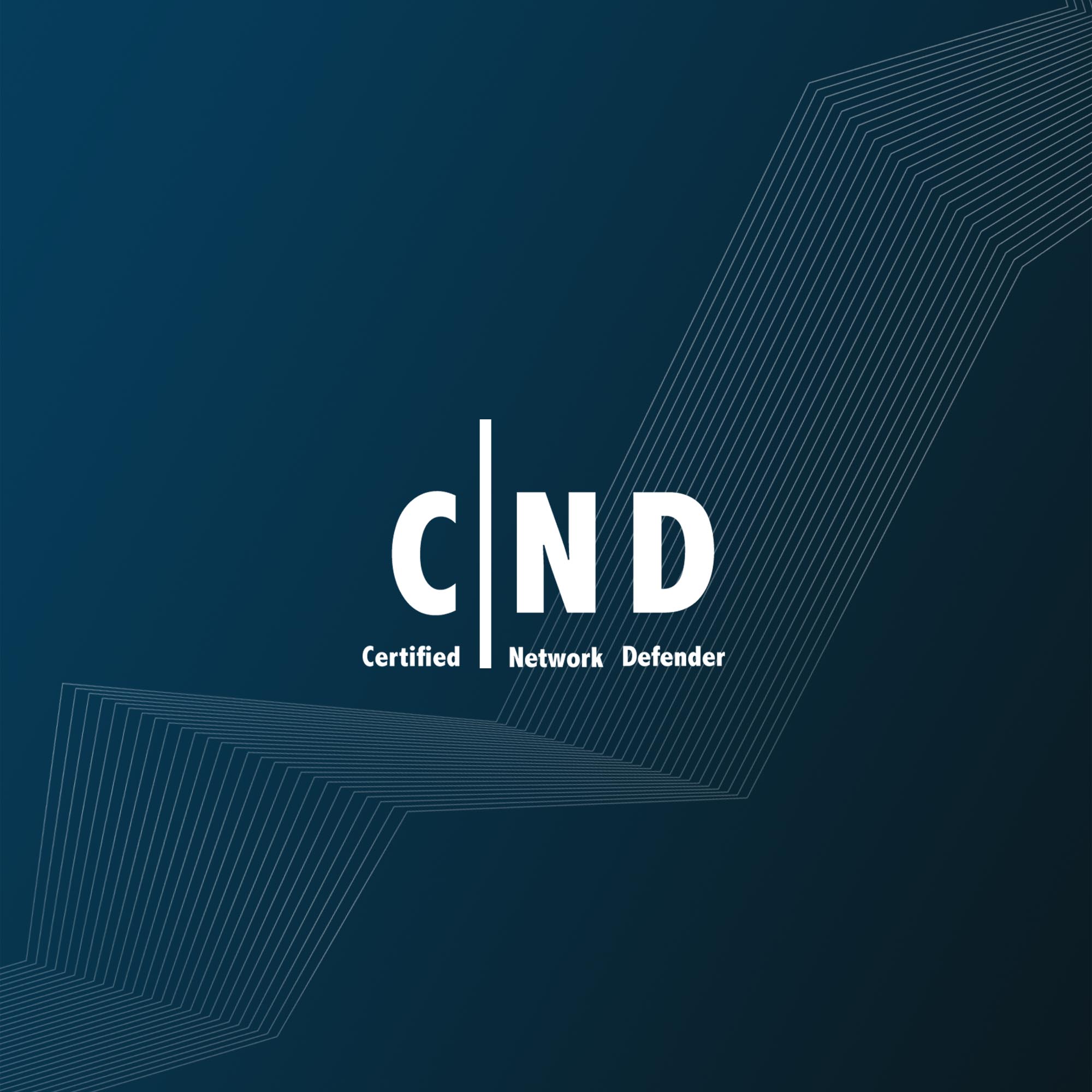 Online kursus: Certified Network Defender (CND)