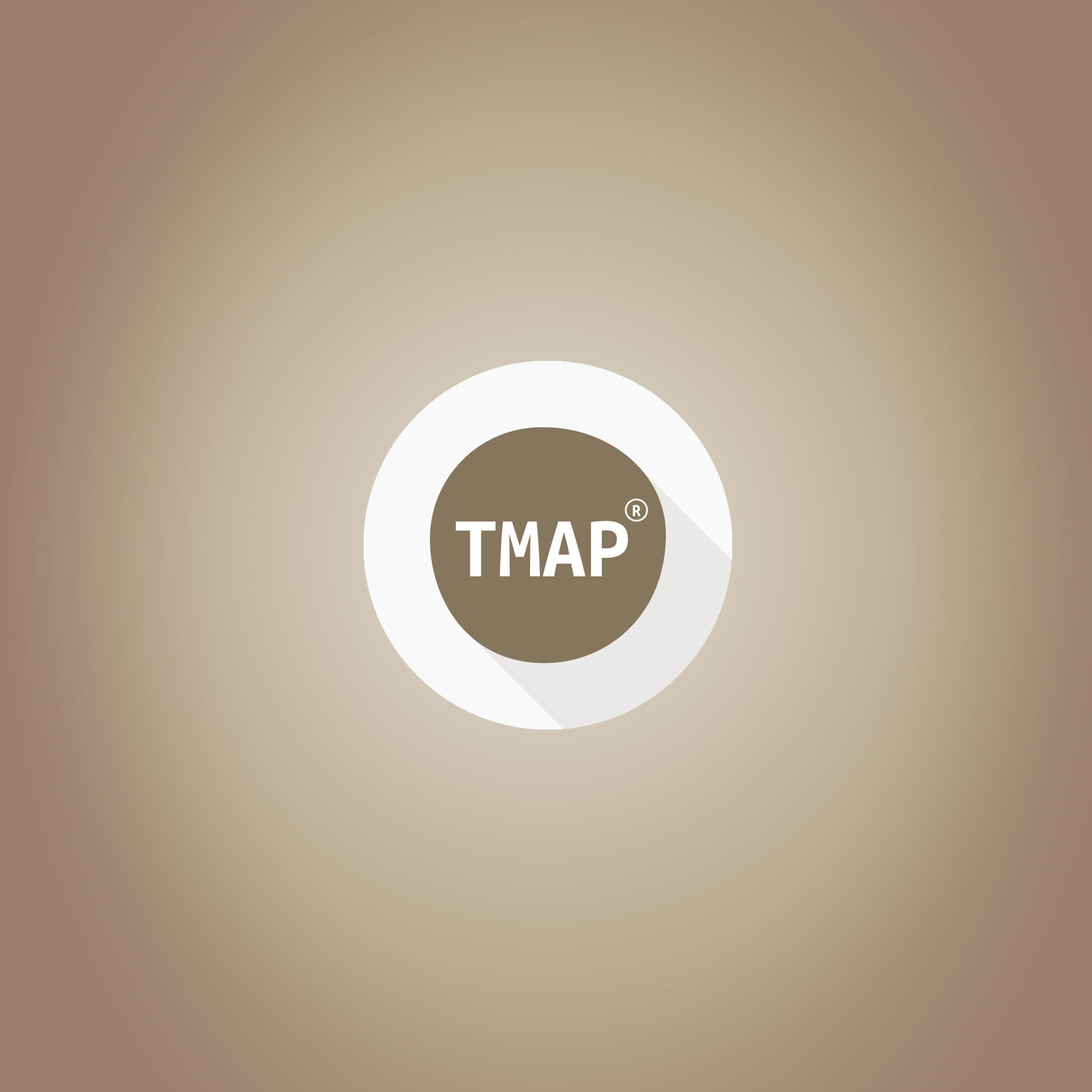 TMAP®: High-performance quality engineering