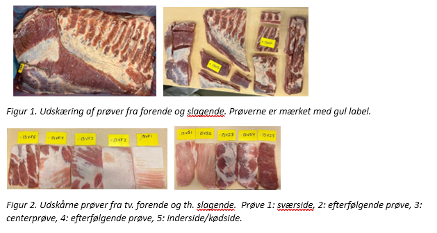 Fremstilling af tørsaltet bacon - Teknologisk Institut