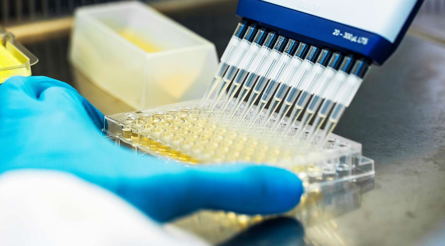Neutron og røntgen services i farma og medico - Teknologisk Institut