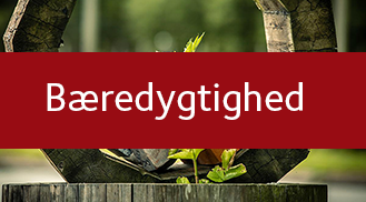 Større infrastrukturprojekter - Teknologisk Institut