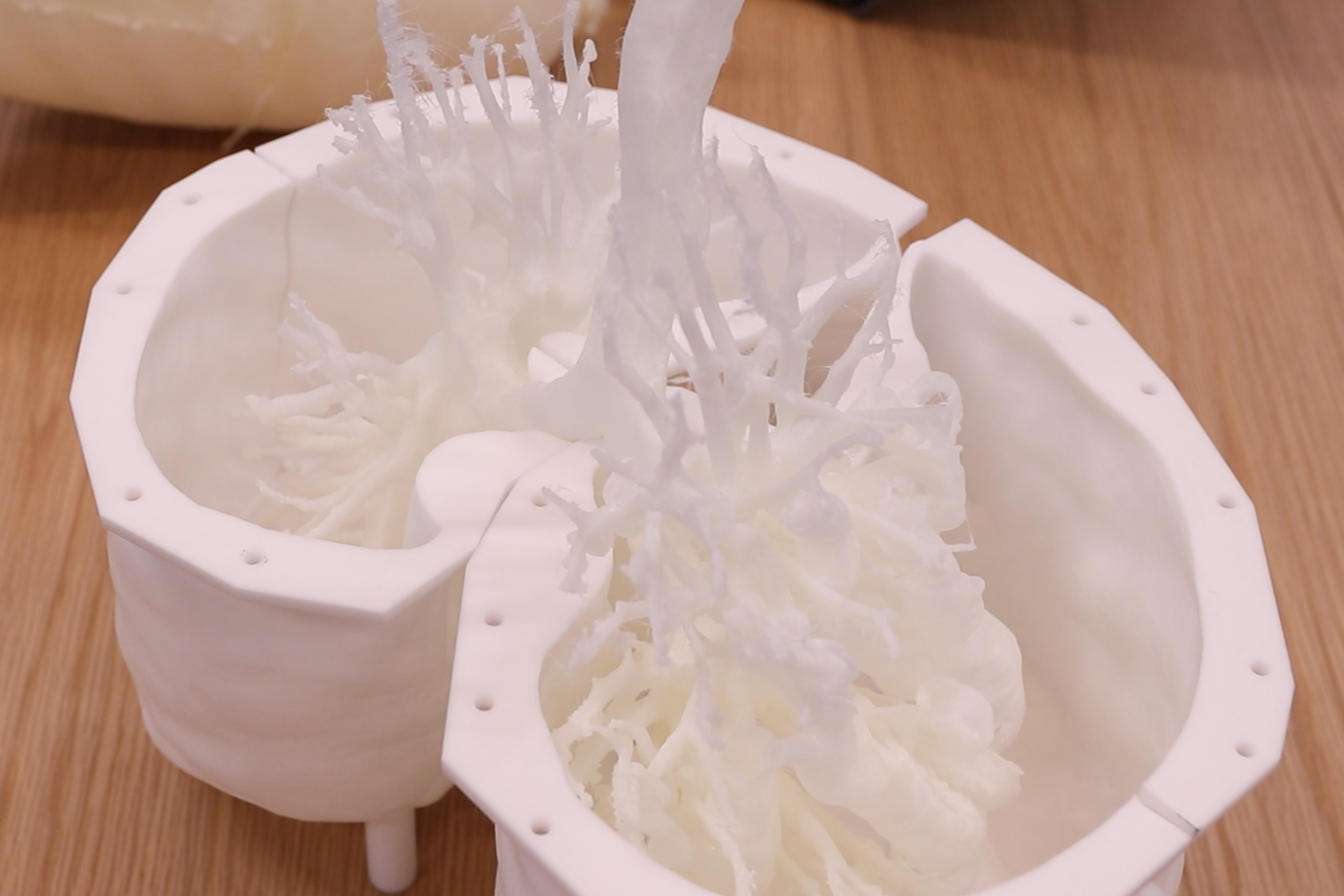 En dukke skal gøre det nemmere at diagnosticere kræft - med hjælp fra ...