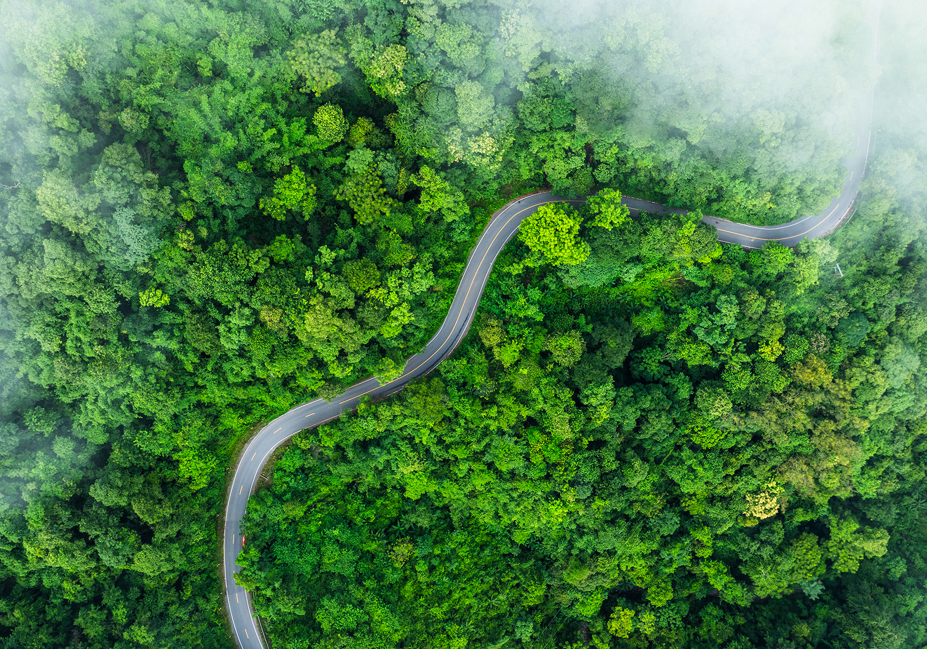 ESG – Hvorfor er det vigtigt og hvordan kommer du i gang? - Teknologisk Institut