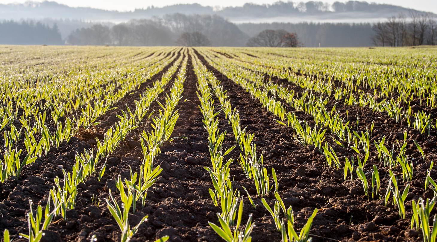 Emissioner fra marker - Teknologisk Institut